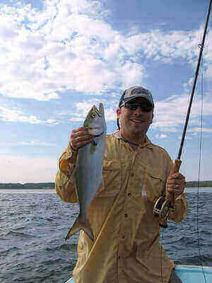 Bluefish Fishing Tips