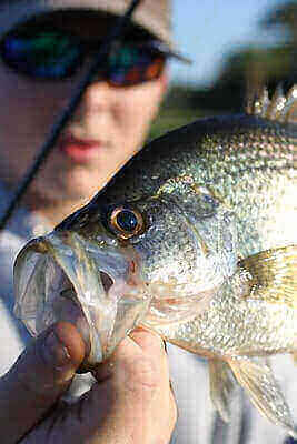 Crappie Fishing Tips