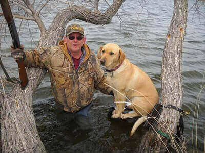 How To Train A Dog To Track Deer