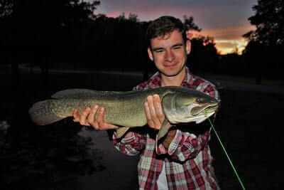 How To Catch Bowfin