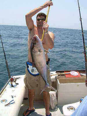 How To Catch Amberjack