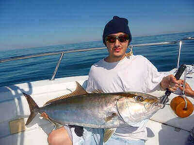How To Catch Amberjack
