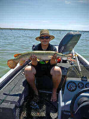 How To Catch Garfish