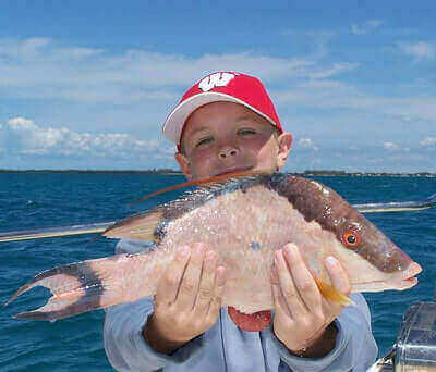 How To Catch Hogfish