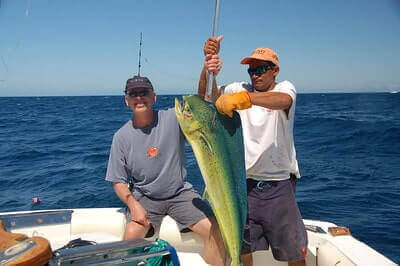 How To Catch Mahi Mahi