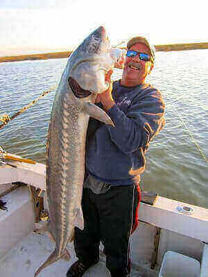 How To Catch Sturgeon