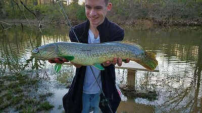How To Catch Bowfin
