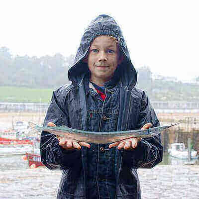 How To Catch Garfish