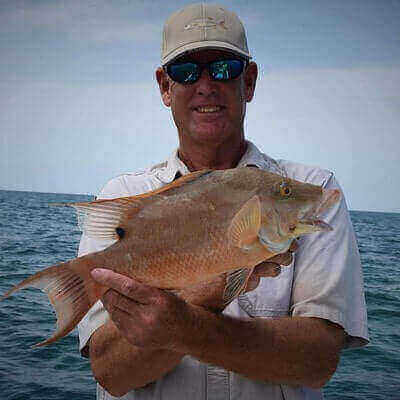 How To Catch Hogfish