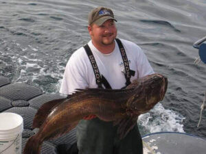 How To Catch Lingcod