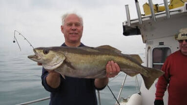 How To Catch Pollock