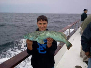 How To Catch Lingcod