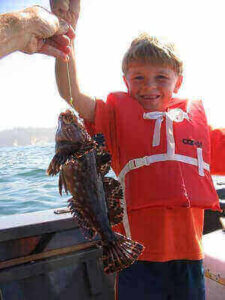 How To Catch Cabezon