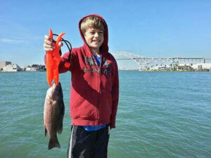 How To Catch Mangrove Snapper