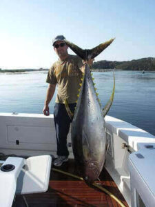 How To Catch Yellowfin Tuna